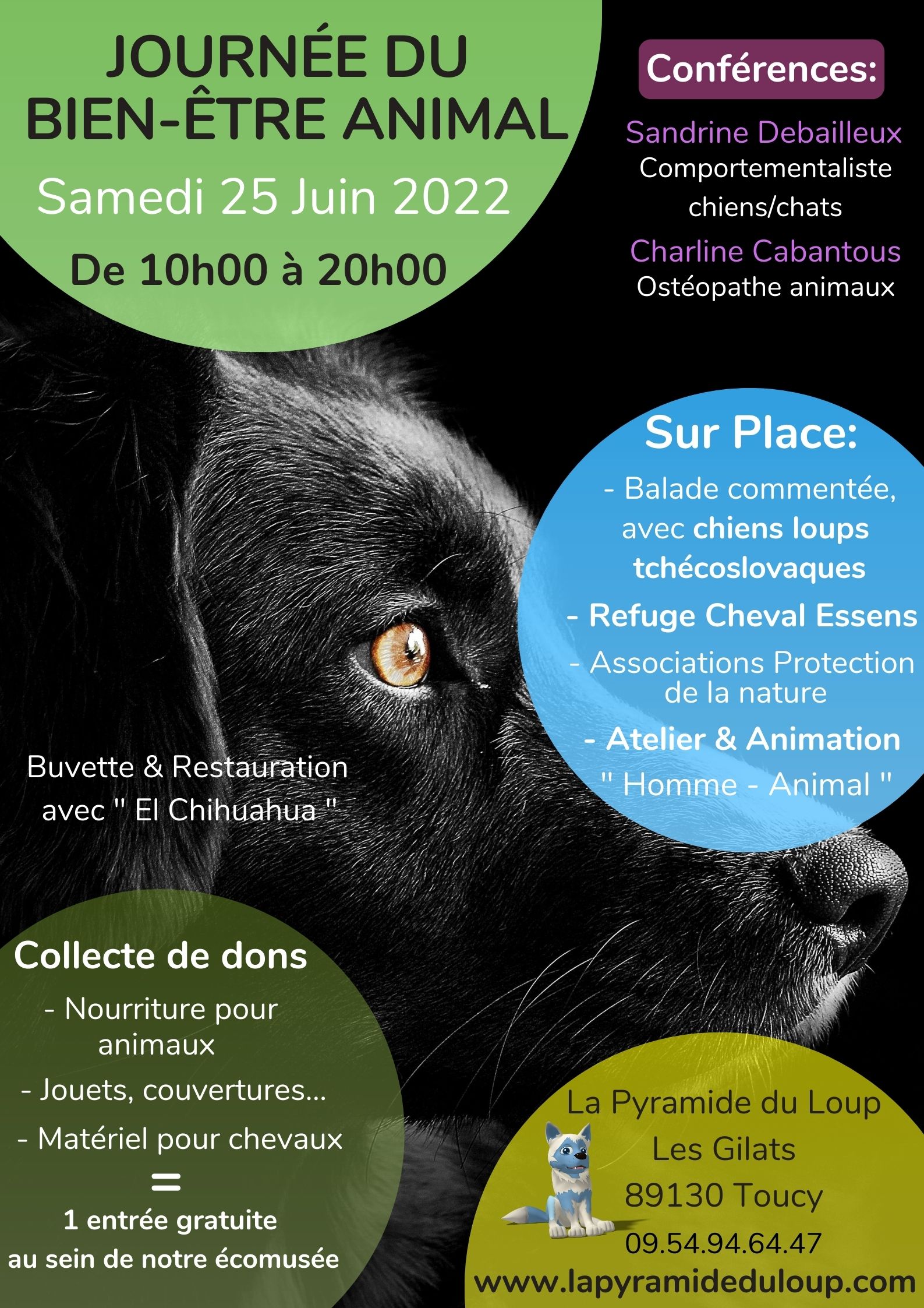 Journées du bien-être animal - La Pyramide du Loup