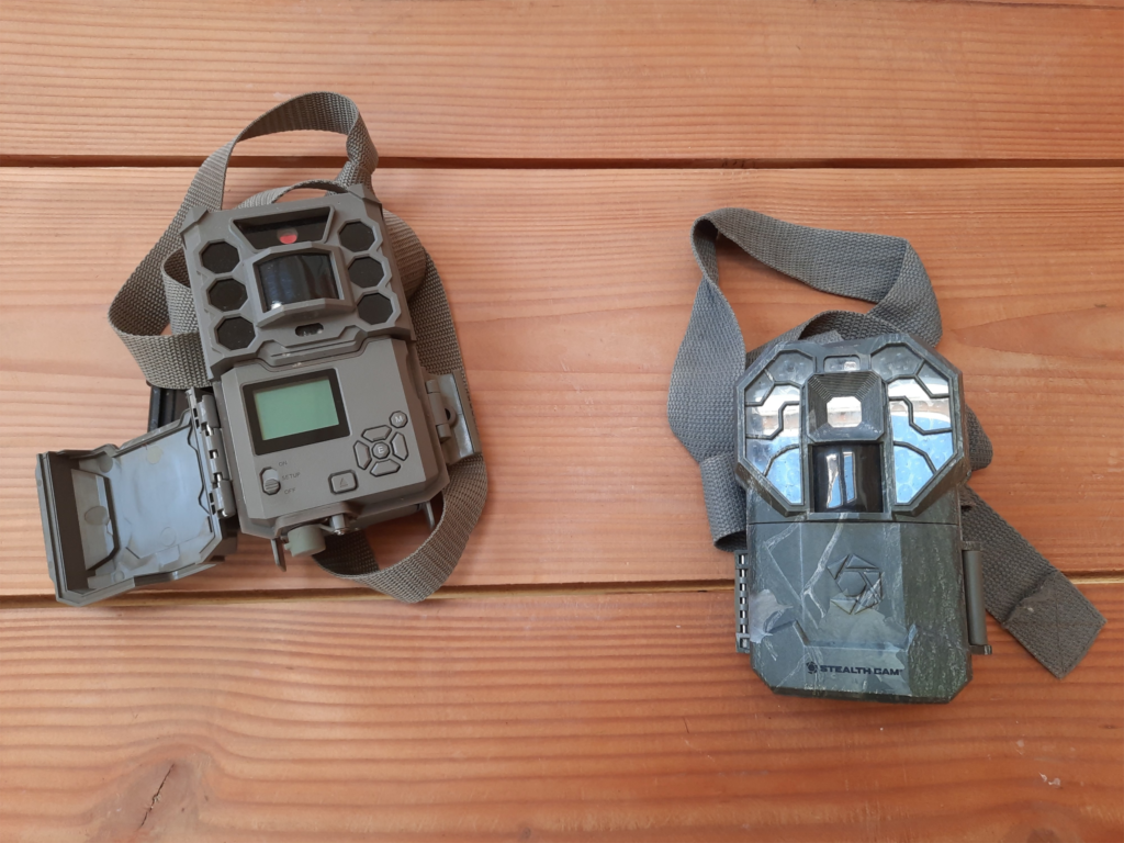 Festival de la Pyramide - La Pyramide du Loup