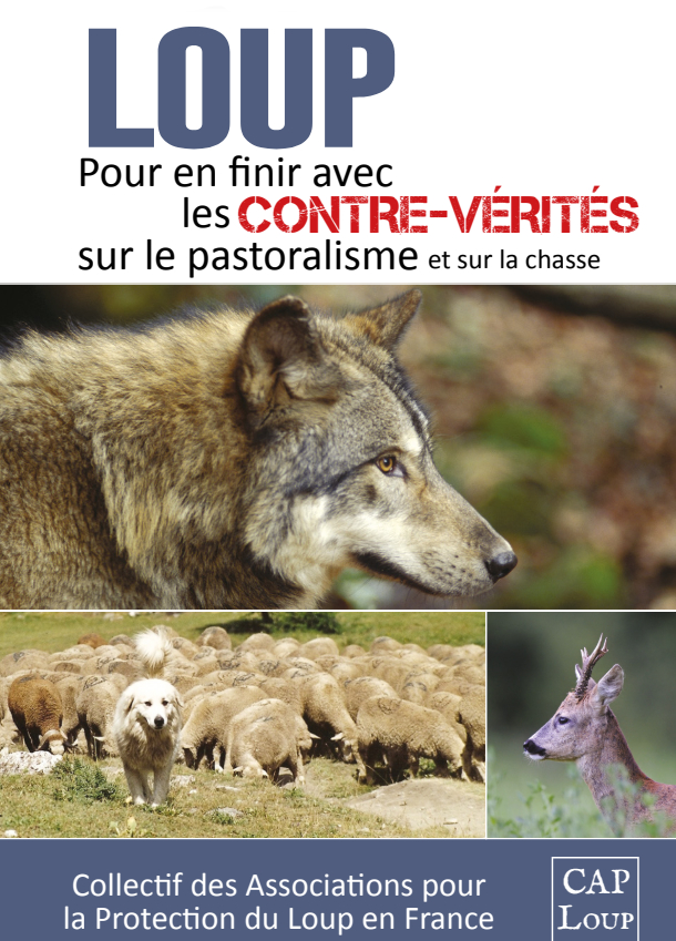 Loup - La Pyramide du Loup